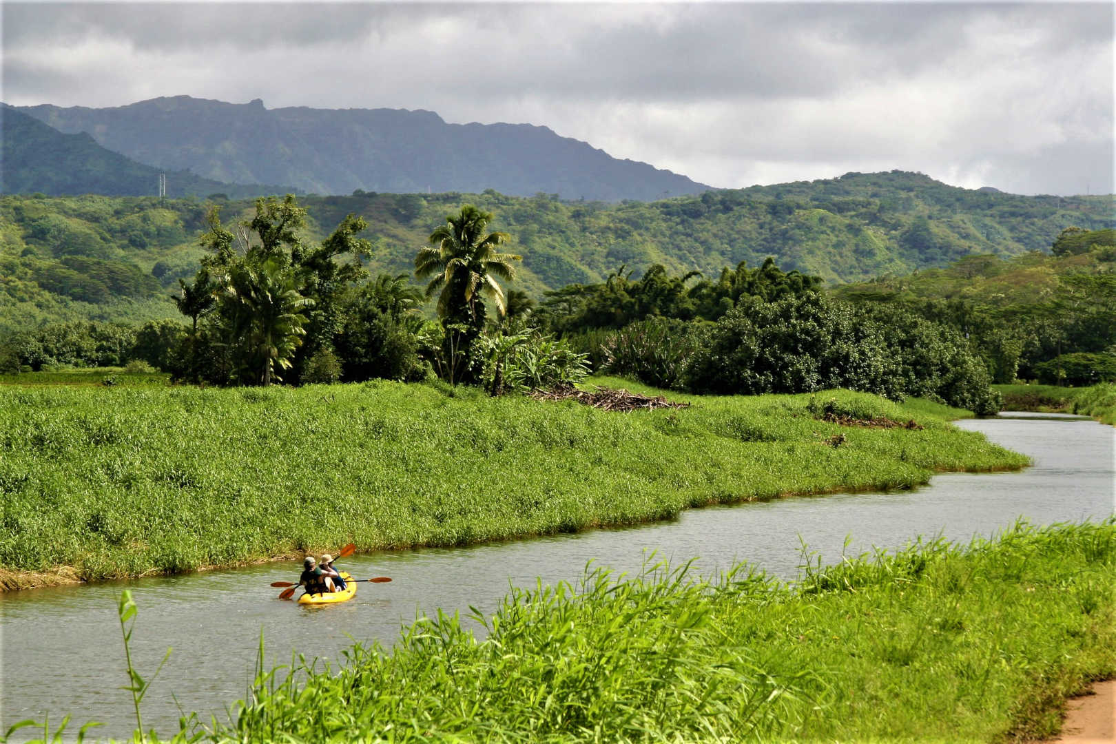 Here Comes the Rooster: Boating in Kauai, Hawaii - The Busy Boater