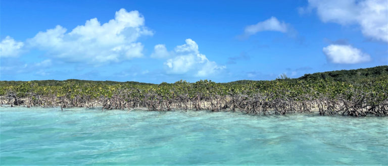 Exploring the Exuma Cays Land and Sea Park - The Busy Boater